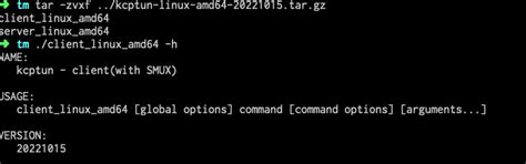 Address Udp Unknown Port Issue Xtaci Kcptun GitHub