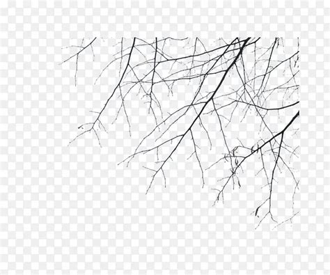 灰色树枝png图片素材下载图片编号10076912 Png素材网 灰色树枝png图片素材下载图片编号10076912 Png素材网