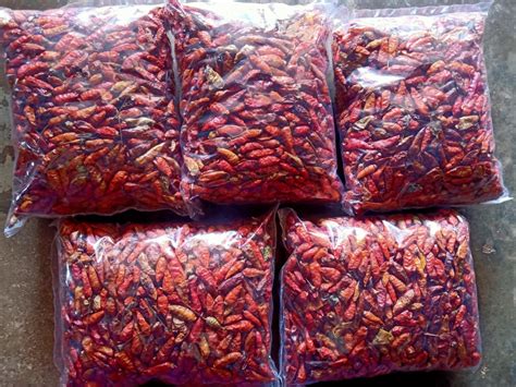 လိပ်သိုဒေသရှိ ယာဒိုပဒေါင်ငရုပ်သီးများအထွက်နှုန်းကျဆင်း၍ ဒေသတွင်းစားသုံးရန်ဖူလုံမှုမရှိနိုင