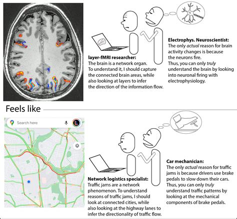 The Relationship Of Layer Fmri With Other Fields A Graphical Story In Cynical Metaphors Layer