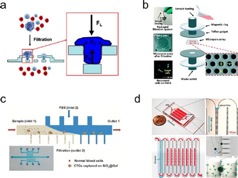 Microfilter As Functional Microstructures For Ctc Isolation A Download Scientific Diagram