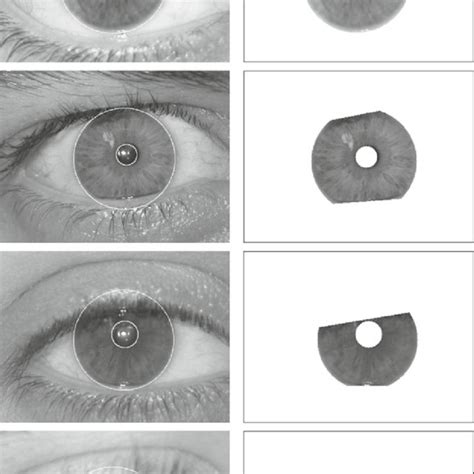 Examples Of Correct Segmentation Download Scientific Diagram