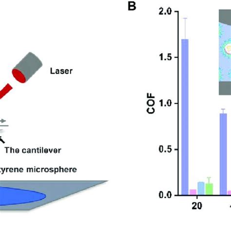 Lubrication Performance Of Meloxicam Liposomes A Schematic Download Scientific Diagram
