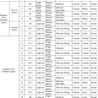 Leaf Morphology Of The Used Samples Download Scientific Diagram