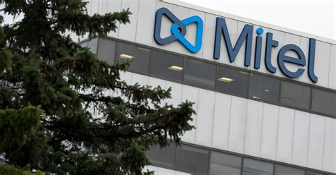 bypass bug revives vital n day in mitel micollab codesanitize