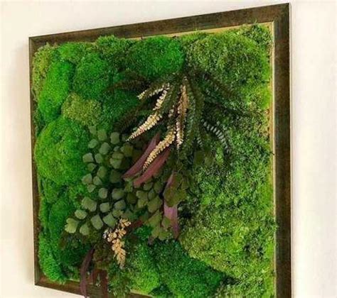 Картина стабилизированный мох Москва | Мебель и интерьер | Festima.Ru ...