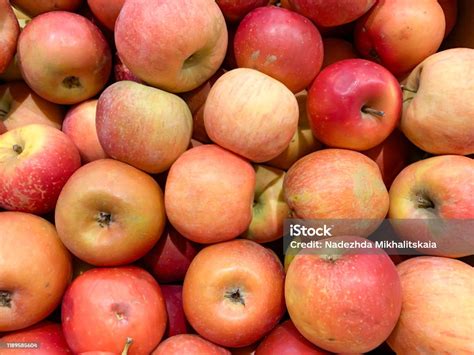 배경으로 슈퍼마켓에서 상자에 많은 아름다운 신선한 육즙 빨간 사과 가을에 대한 스톡 사진 및 기타 이미지 가을 과일 농업 Istock
