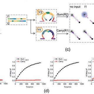 A Logic Gate Diagram Of The Half Adder B Truth Table C Reaction Download Scientific