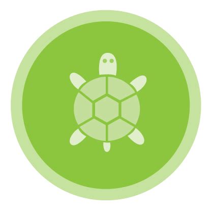 Python Tracy The Turtle Codehs Through Lesson 19 8th 10th Grade