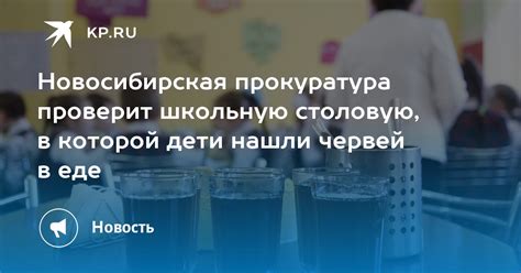 Новосибирская прокуратура проверит школьную столовую в которой дети нашли червей в еде Kp Ru