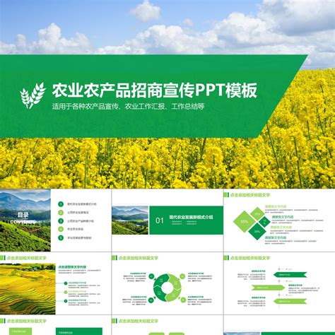 农业招商农产品宣传ppt模板下载办图网