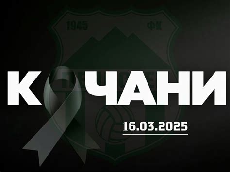 ФК Пелистер Младинска Школа