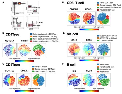 Representative Gating And Identification Of Phenotypic Lymphocyte Download Scientific Diagram