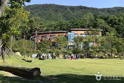용인자연휴양림 경기도 용인시 처인구 가볼만한곳 관광지랭킹