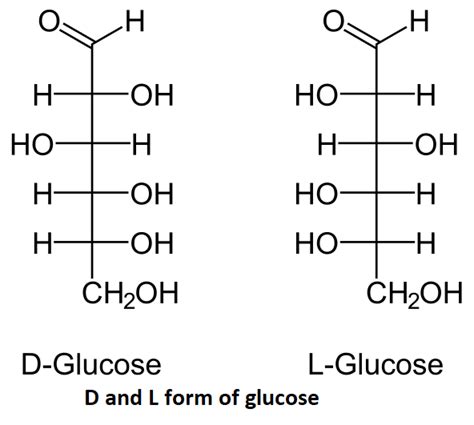 Glucose Is An Example Of A Aldohexose B Ketohexose C Aldopentose D Ketopentose