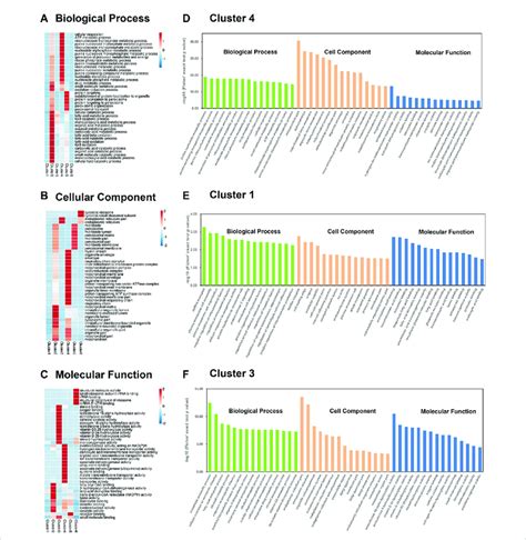 Enrichment Based On Mfuzz Clustering By Three Go Annotations A C