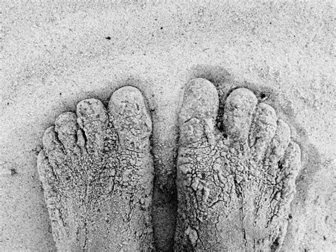 Premium Photo Close Up Of Messy Feet On Sand
