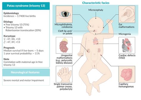 Inborn Errors Of Metabolism Flashcards Quizlet