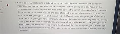 Solved Kernel Color In Wheat Plants Is Determined By Two