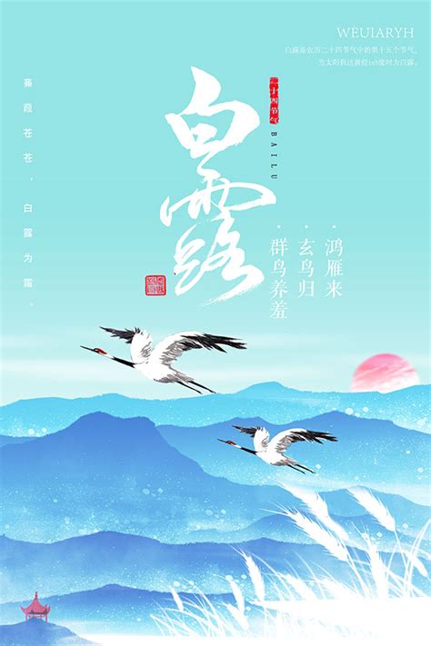 白露节气海报 素材CNN