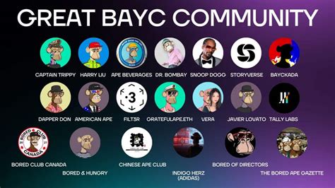 The Bored Ape Yacht Club Ecosystem A Vibrant Collaborative Powerhouse Metaverse Post