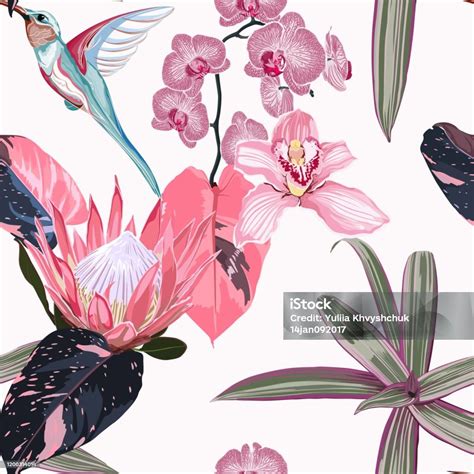 흰색 배경에 분홍색 꽃과 이국적인 열대 잎의 많은 종류와 원활한 꽃 패턴 벡터 그림입니다 0명에 대한 스톡 벡터 아트 및 기타 이미지 Istock