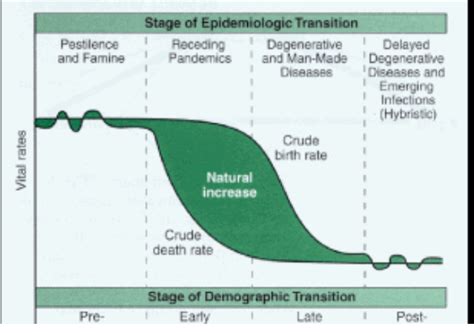 Epidemiological Transition Model Diagram Quizlet