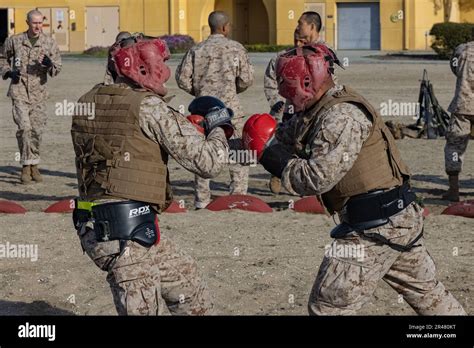 Us Marine Corps Recruits With Golf Company 2nd Recruit Training