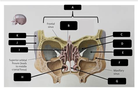 Labeling Diagram Quizlet
