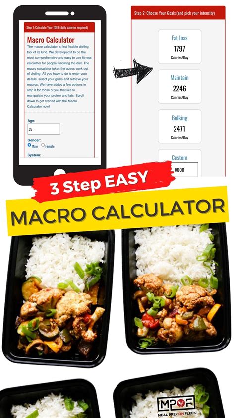 Macro Calculator Free Tool To Balance Protein Carbs And Fat