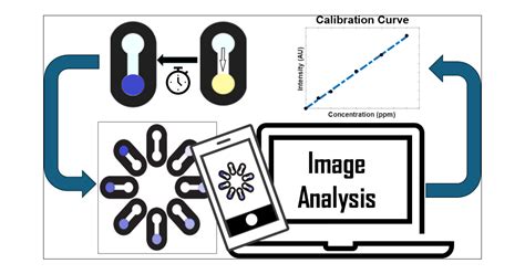 Implementation Of Laser Printed Paper Based Analytical Devices For Colorimetric Assay Of Metals