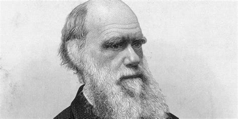 Sociaal Darwinisme Herbert Spencer English Philosopher And