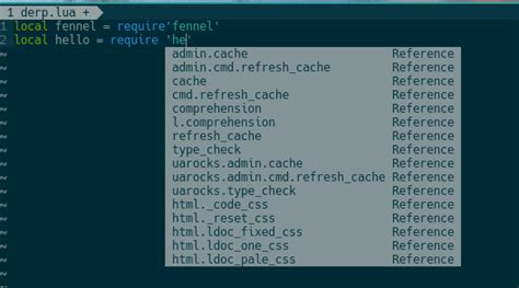 What Values For Lua Runtime Path And Lua Workspace Library Issue Luals Lua