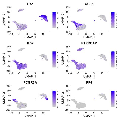 R语言学习笔记：从数据清洗到高级统计学和生物信息学 Seurat中的数据可视化方法