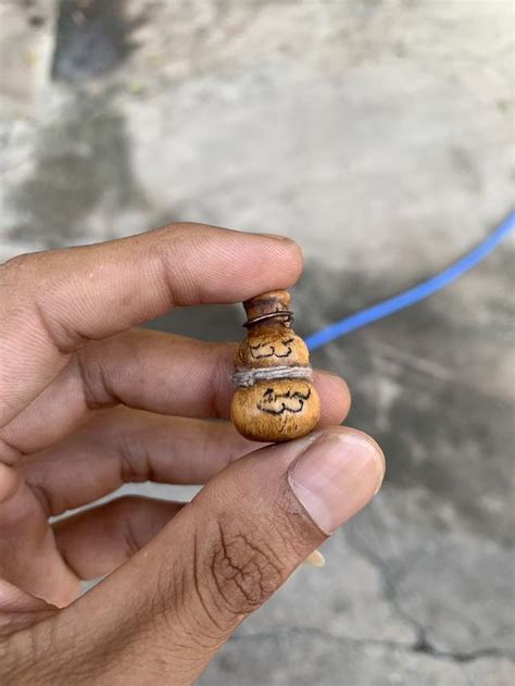 น้ำเต้าดูดทรัพย์หลวงปู่บุญวัดกลางบางแก้ว Ennxo