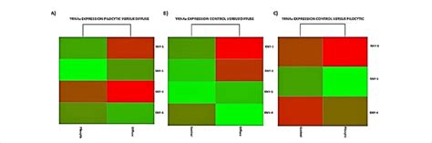 Heatmaps Of Differentially Expressed Y Rnas In Exosomal Samples A