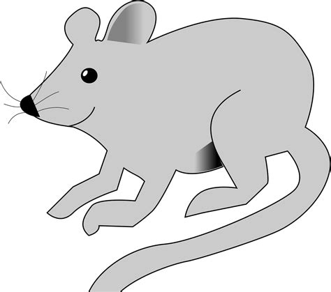 Download Mouse Gray Long Tail Royalty Free Vector Graphic Pixabay