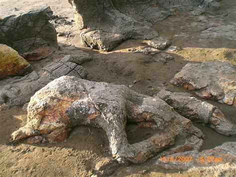 Bila Jejari Berbicara Manusia Jadi Batu