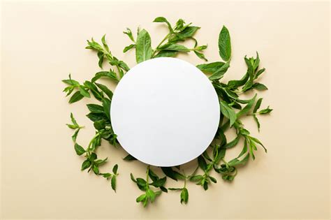 빈 종이로 만든 화환 프레임은 텍스트를위한 공간과 컬러 배경에 박하 잎이 있습니다 민트 패턴 플랫 레이 위쪽 보기 웃옷에 대한 스톡 사진 및 기타 이미지 Istock