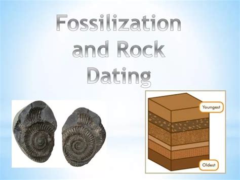 PPT Fossilization And Rock Dating PowerPoint Presentation Free Download ID 2162539