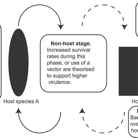 Flow Diagram Of A Generic Pathogen Life Cycle Indicating The Selective
