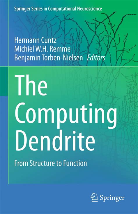 The Computing Dendrite From Structure To Function Cuntz H Remme M Torben Nielsen B