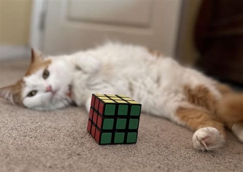 rubik s cube solver 9 steps with pictures instructables