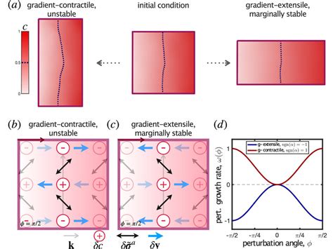 Linear Stability For The Scalar Only System Ie Where Pi∂ic A
