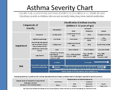 Improving Asthma Outcomes Though Education Segment 1 Clinical
