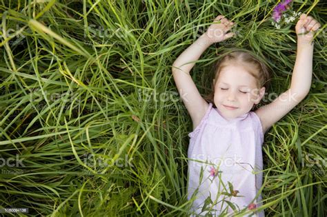 여름 초원에 사랑스러운 소녀의 초상화입니다 공원에서 일몰입니다 야외 휴가 화창한 여름날 손에 꽃을 들고 풀밭에 누워 있는 아이 아이에 대한 스톡 사진 및 기타 이미지