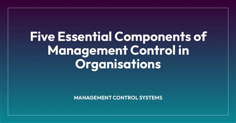 Five Essential Components Of Management Control In Organisations • Slm