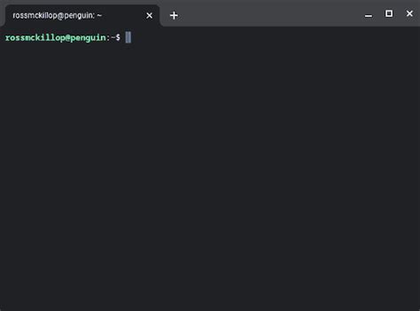 How To Install Linux Apps On A Chromebook Simple Help
