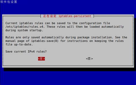 Debian95 系统配置持久化iptables规则netfilter Persistent Save Csdn博客