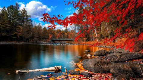 Windows Nature Hd Wallpapers Top Free Windows Nature Hd Backgrounds